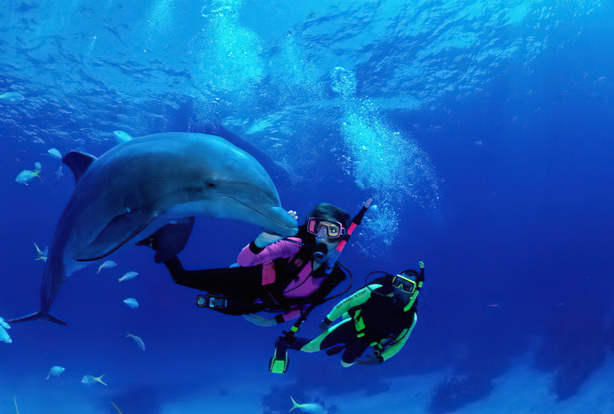4 Best Diving Centers In Zanzibar Tulia Zanzibar